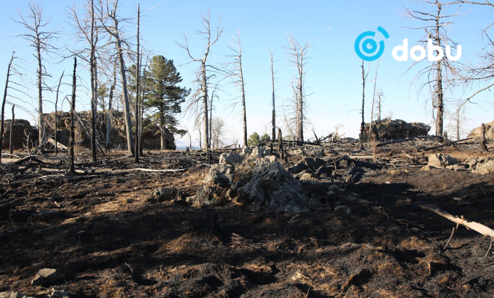Богдхан ууланд гарсан гал түймрийг 10:30 цагт бүрэн унтраалаа - dobu.mn