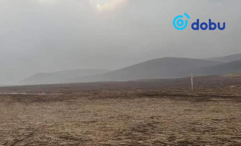 Хээрийн түймэрт 4400 га талбай өртсөн байна - dobu.mn