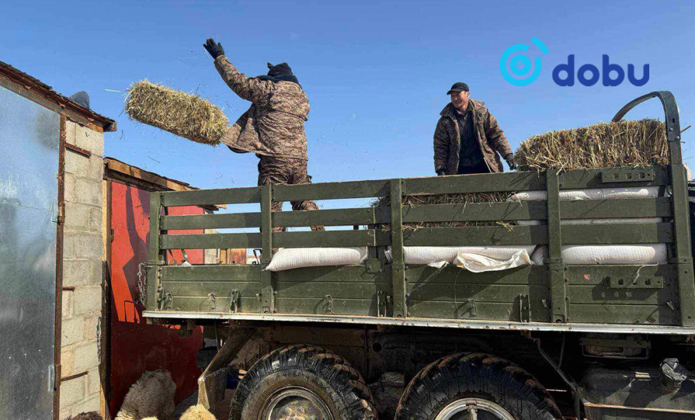 Нэмэлт хүч илгээлээ - dobu.mn