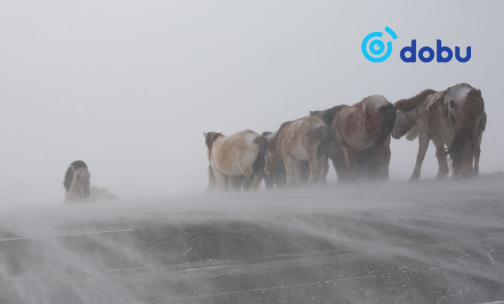 12-р сард хүйтний эрч чангарч, ихэнх нутгаар цасан шуурга шуурна - dobu.mn