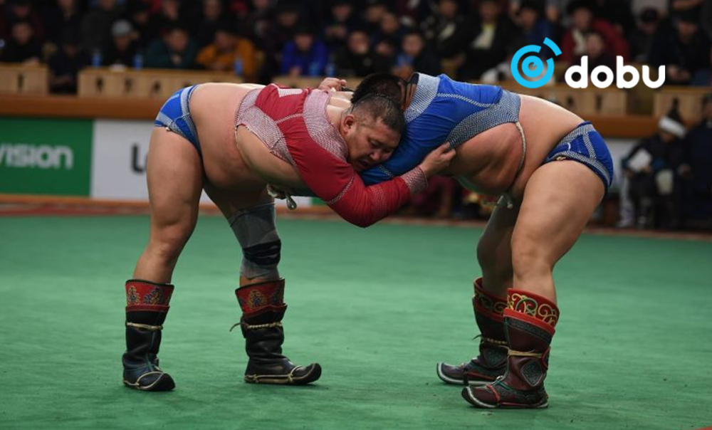 ТАНИЛЦ: Сар шинийн барилдаанд зодоглох 256 бөхийн НЭРС - dobu.mn