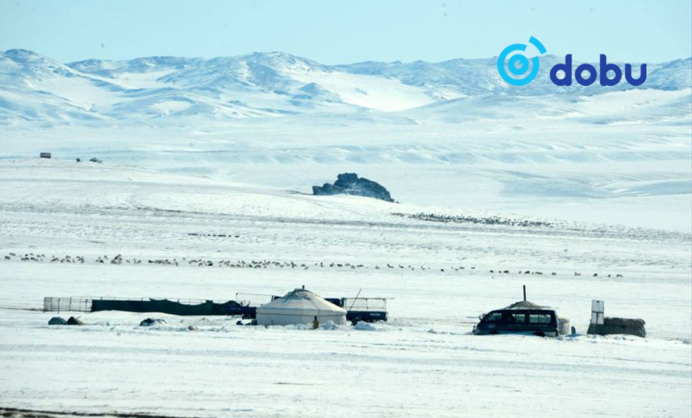 Нийт нутгийн 30 гаруй хувьд зудын эрсдэл "нэн их" байна - dobu.mn
