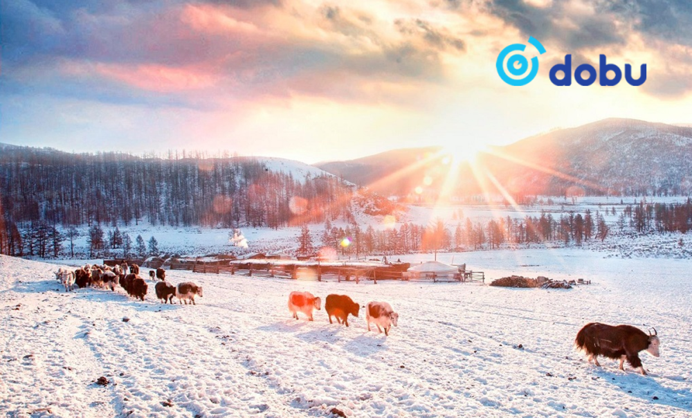 Ирэх долоо хоногт 4 градус хүртэл ДУЛААРНА - dobu.mn