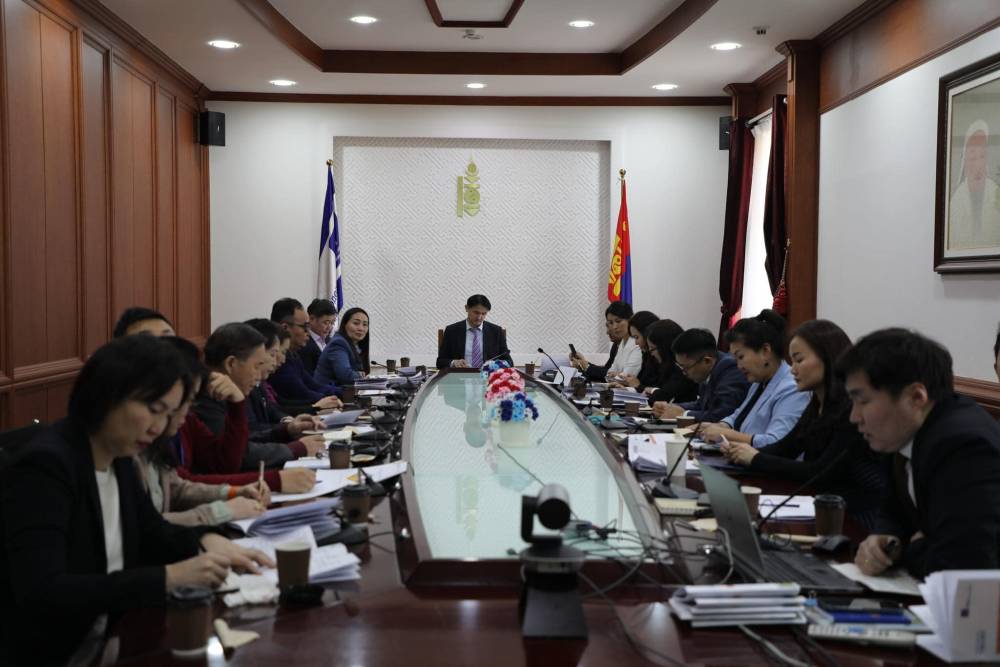 Хөдөлмөр эрхлэлтийг дэмжих тухай хуулийн шинэчилсэн найруулгын төслийг ажлын хэсгүүдэд