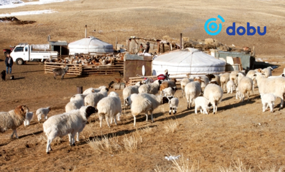 Энэ долоо хоногт зарим нутгаар 21 градус хүртэл ДУЛААРНА - dobu.mn