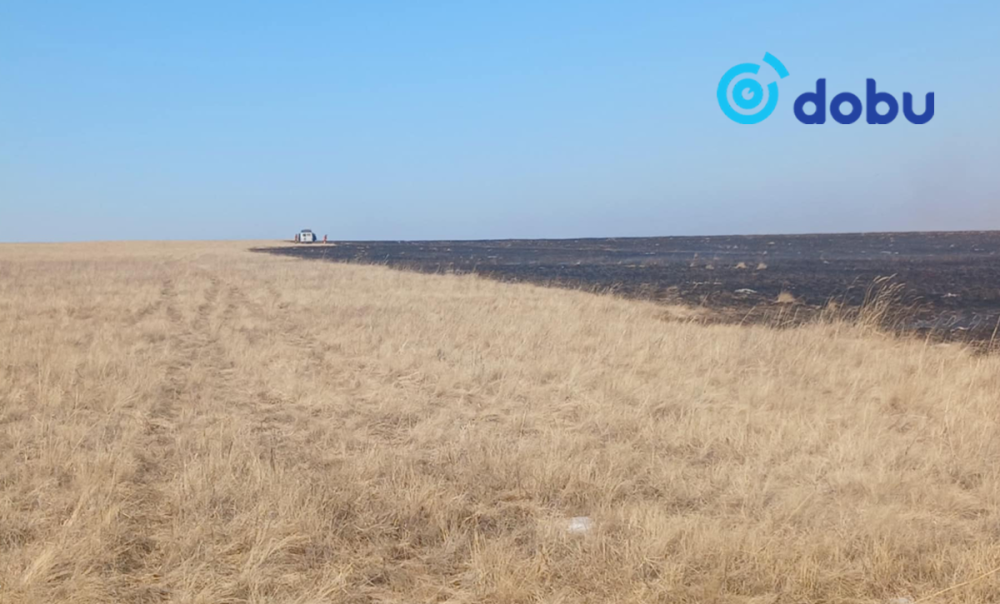 Хээрийн түймрүүдийг бүрэн унтраалаа - dobu.mn