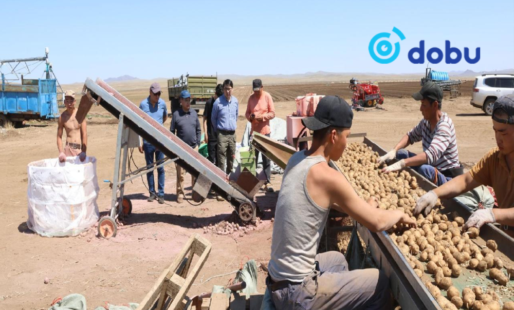 Ногоочид хүний нөөцийн дутагдлаа технологийн дэвшлээр нөхөж байна - dobu.mn