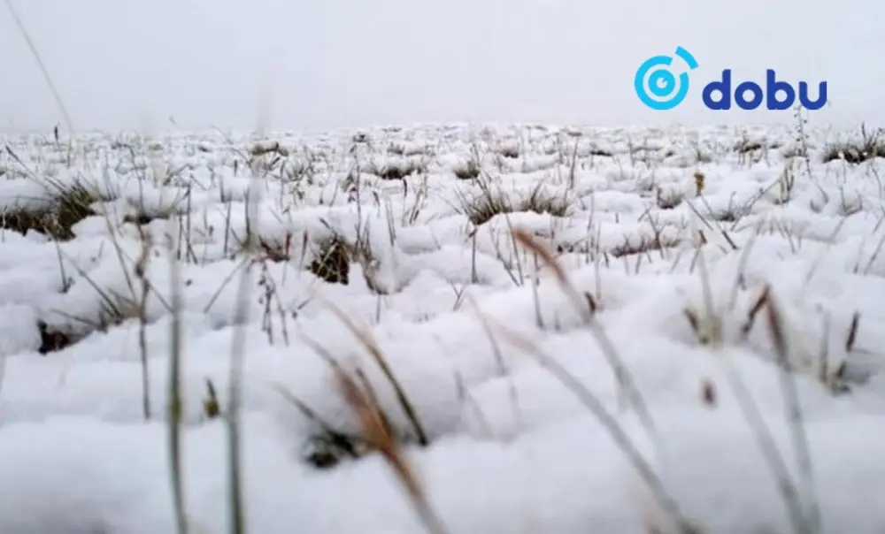 Сүхбаатарын өмнөд хэсгээр нойтон цас орно - dobu.mn