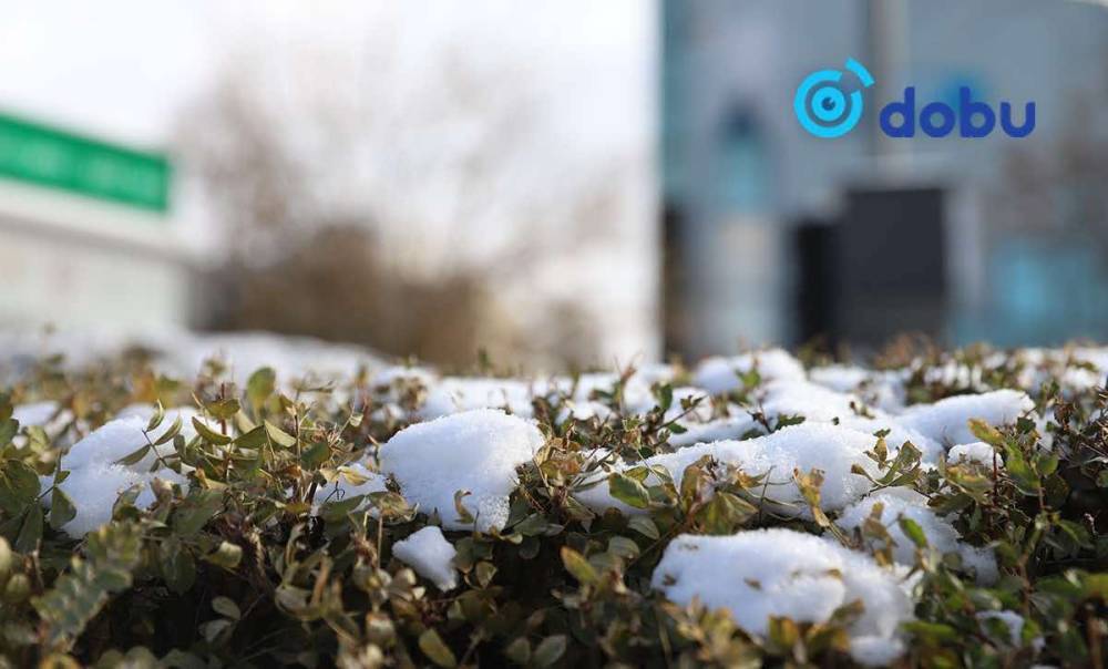 Улаанбаатарт өдөртөө -2 градус байна - dobu.mn