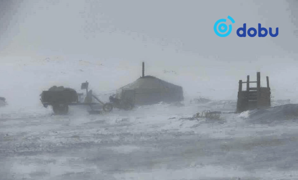 Цас орж, цасан шуурга шуурна - dobu.mn